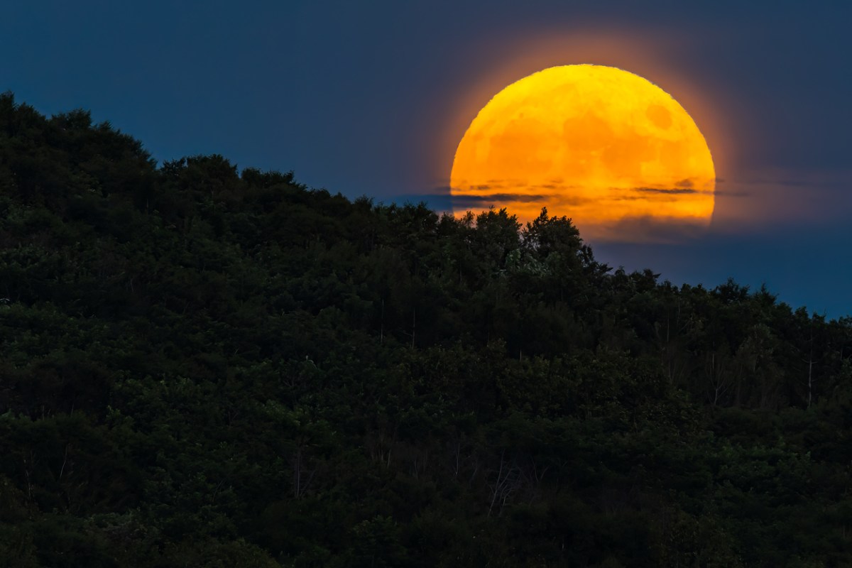 What Is the Meaning Behind Bad Moon Rising? | Great Oldies